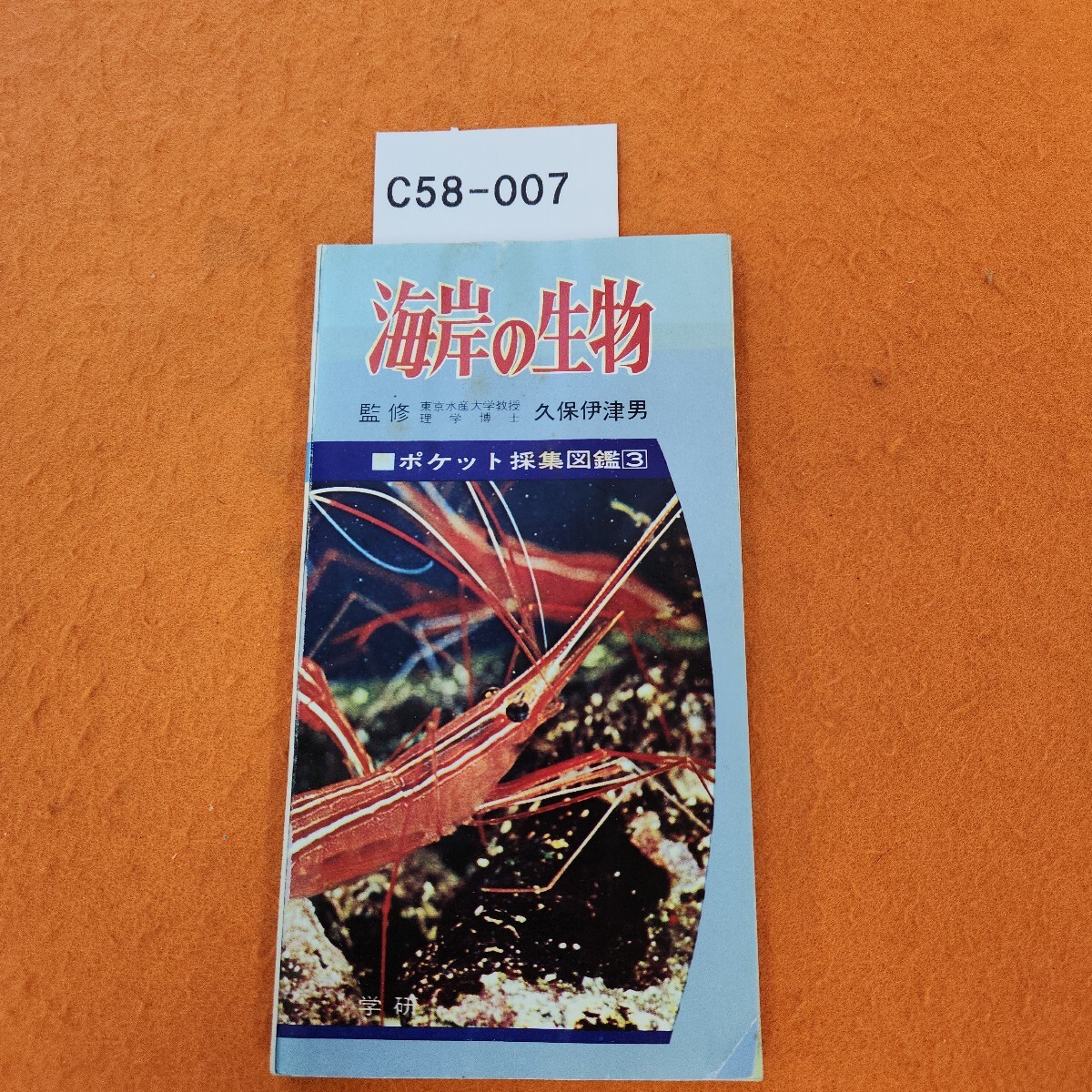 Yahoo!オークション - C58-007 ポケット採集図鑑 3 海岸の生物 監修 東...