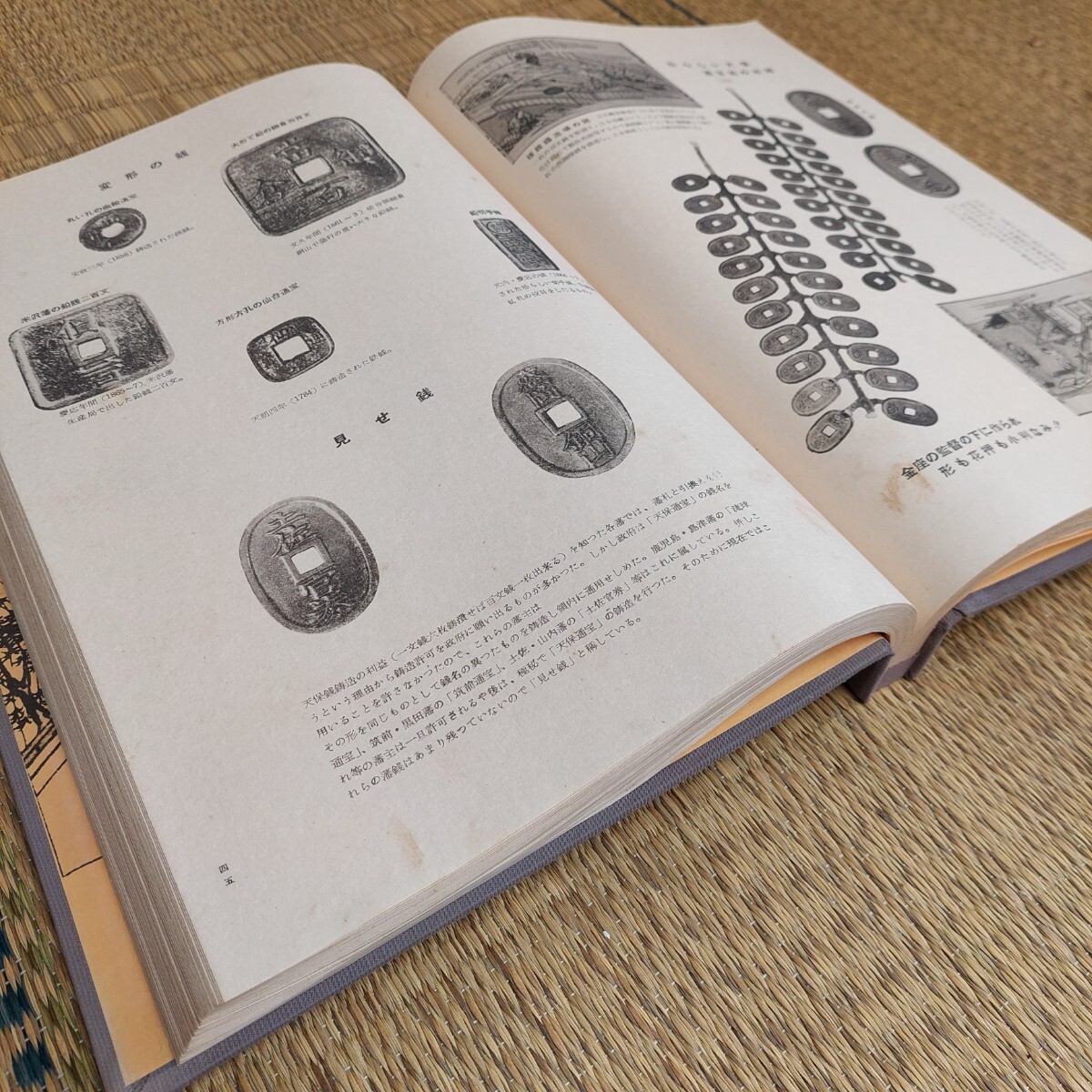 Yahoo!オークション - 通貨一千二百五十年図鑑 s1.2451