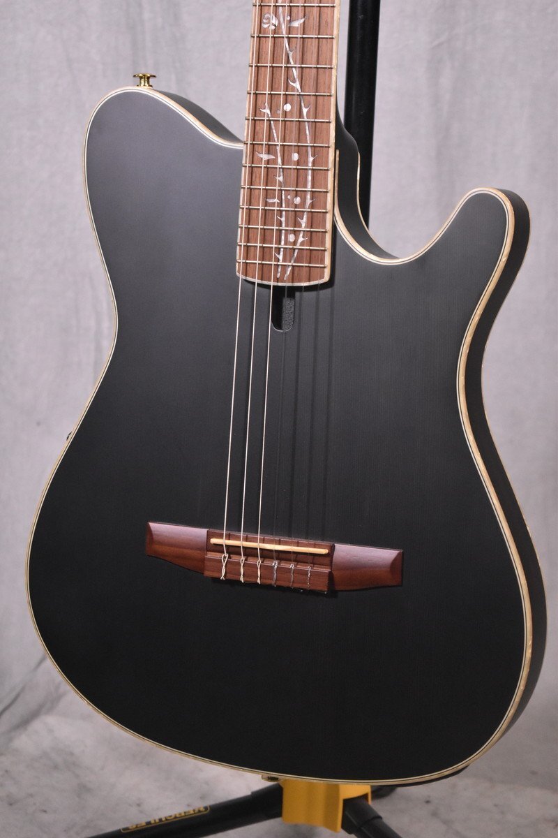 Yahoo!オークション - 【G】Ibanez Acoustic TOD10N-TKF エレガット/ク...