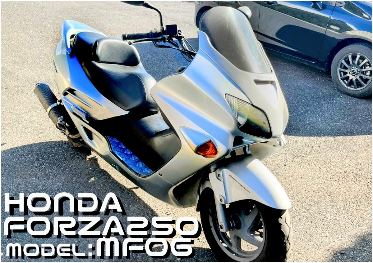 Yahoo!オークション - 栃木発【HONDA FORZA250 MF06】 ホンダ