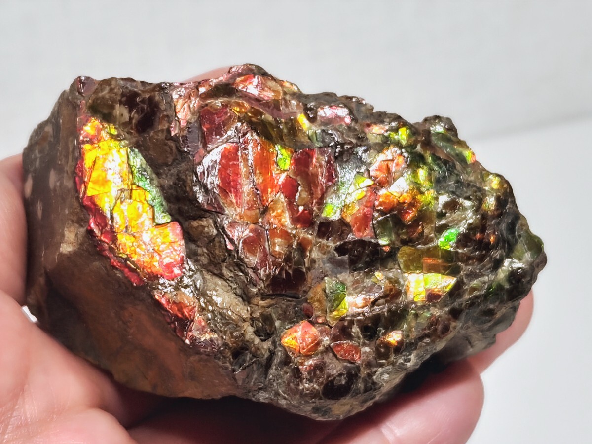 Yahoo!オークション - 【多彩】 232g アンモライト アンモナイト 化石 ...