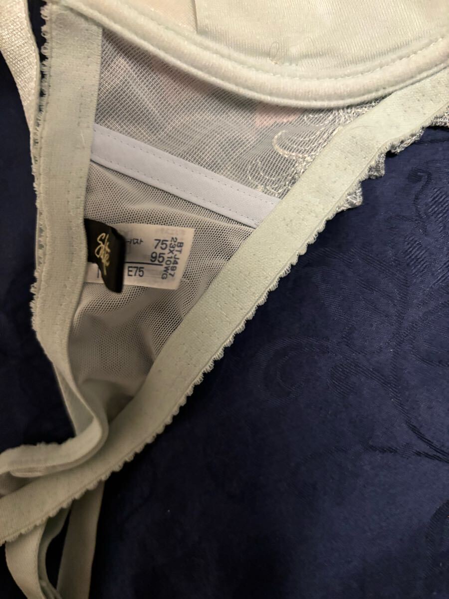 Yahoo!オークション - Wacoal/ワコール/Salute/サルート/E75/L/97G/97...