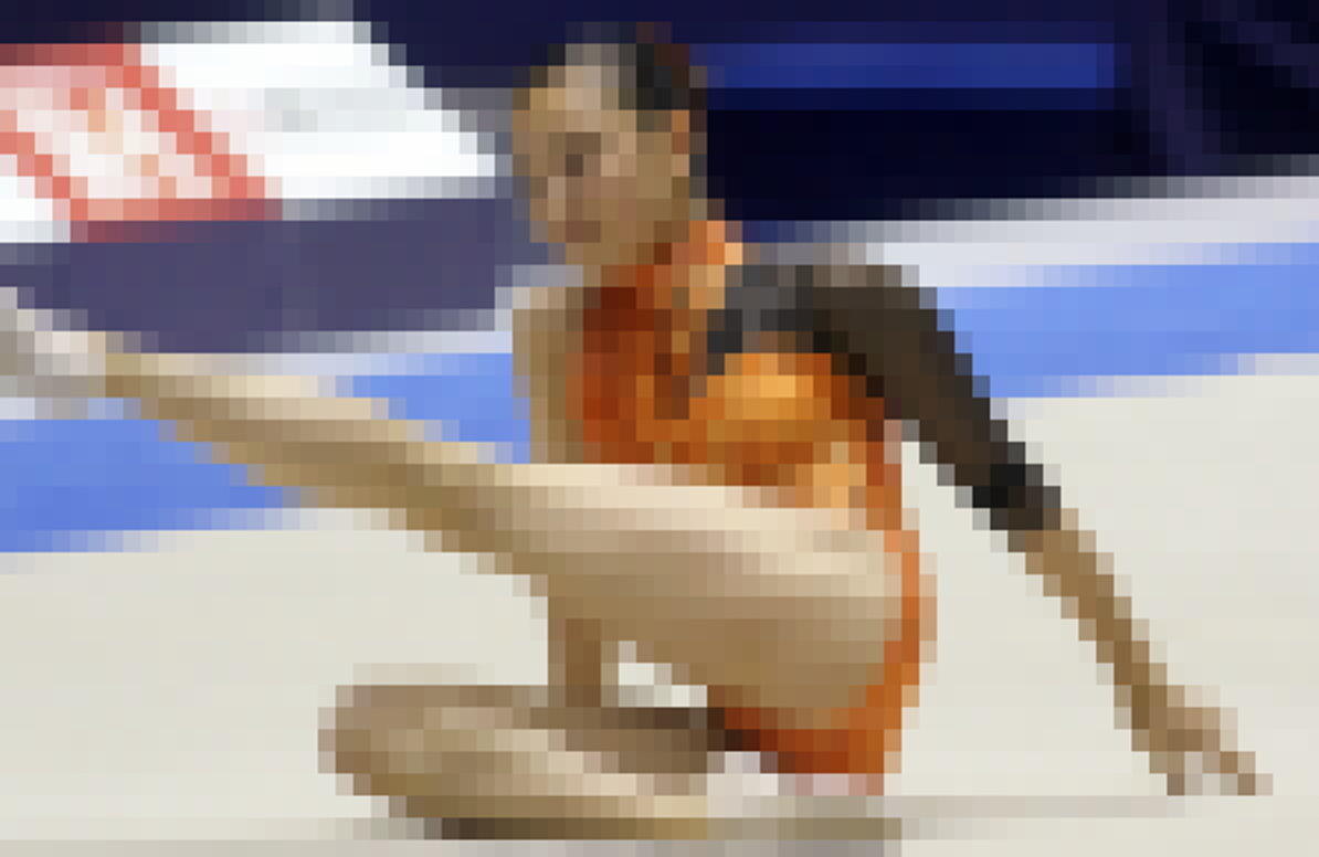 Yahoo!オークション - GYMNASTICS ILLUSTRATED ”2016-2017 ALL JAPAN ...