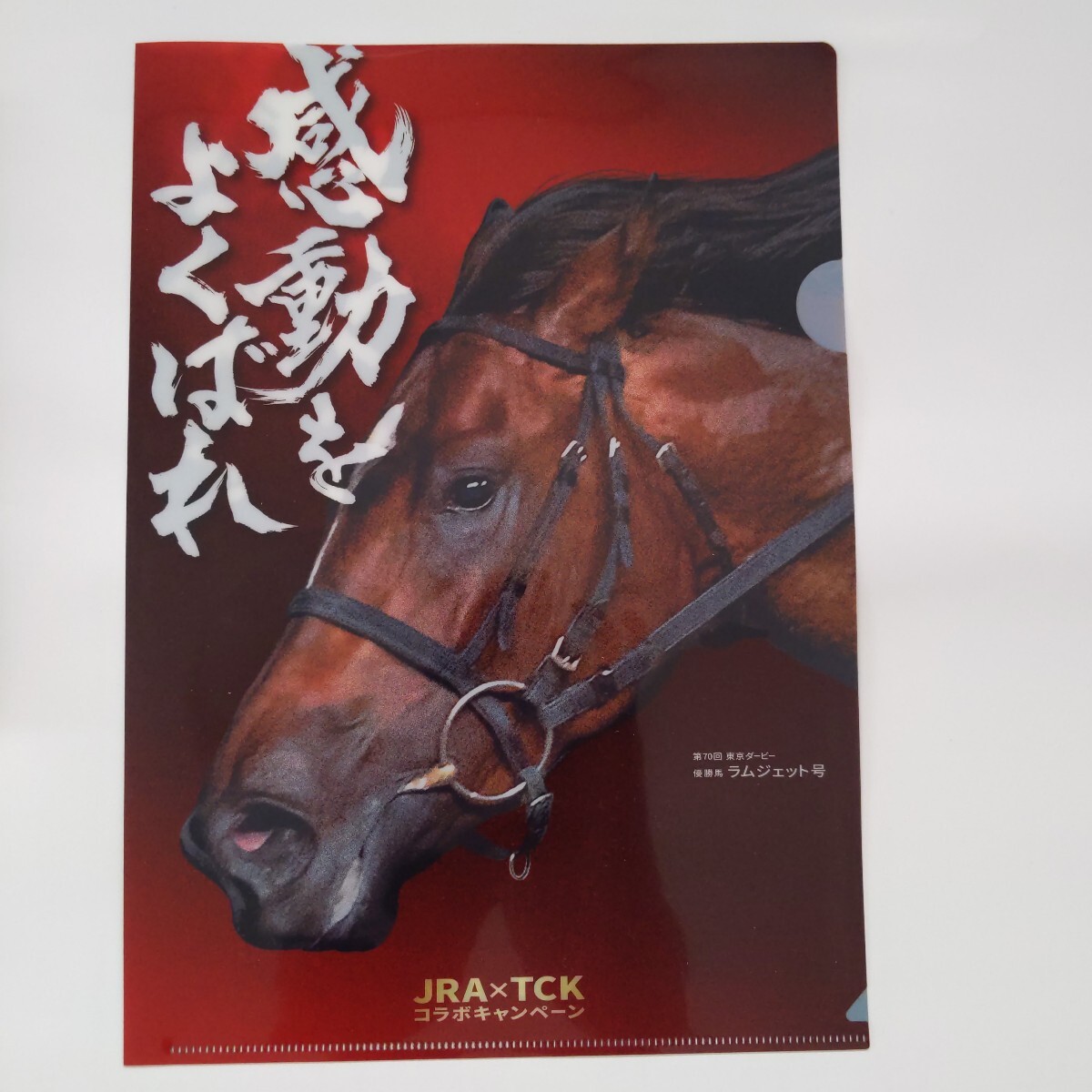 Yahoo!オークション - JRA東京 JRA×TCKコラボイベント クリアファイル...