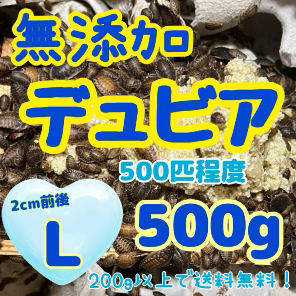 Yahoo!オークション - 無添加デュビア 大好評 デュビア 無添加 Lサイ...