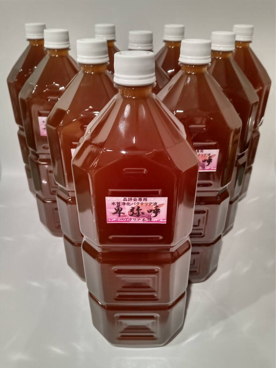 Yahoo!オークション - 【バクテリア本舗】PSB強化型「卑弥呼」（20L）...