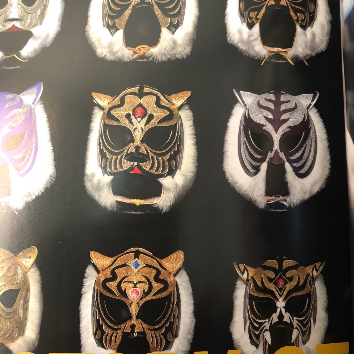 Yahoo!オークション - 初代タイガーマスクアルティメットガイド佐山サ...