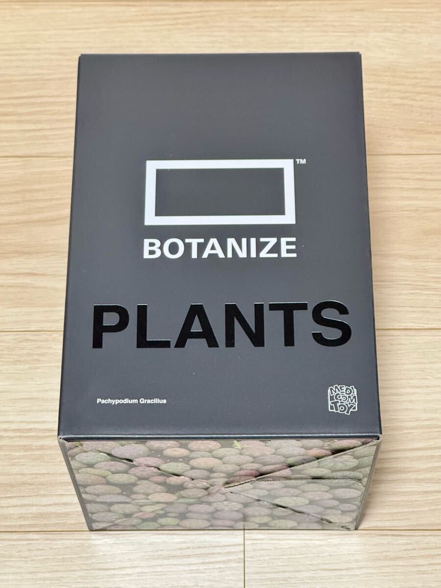 Yahoo!オークション - MEDICOM TOY BOTANIZE パキポディウム グラキリ...