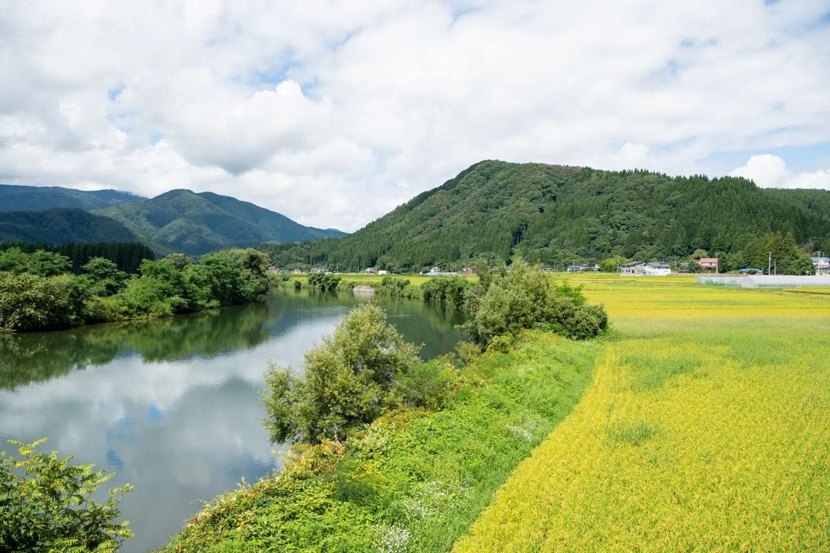 白米10kg R6年秋田県産 あきたこまち 数量限定出品｜Yahoo!フリマ（旧PayPayフリマ）