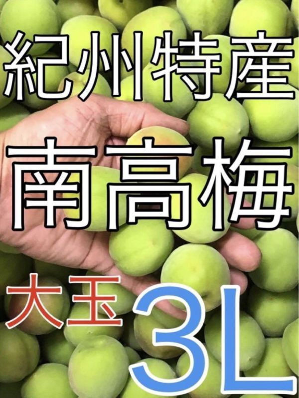 Yahoo!オークション - 【秀品】大玉3L 2Kg 紀州の南高梅 青梅 和歌山産...