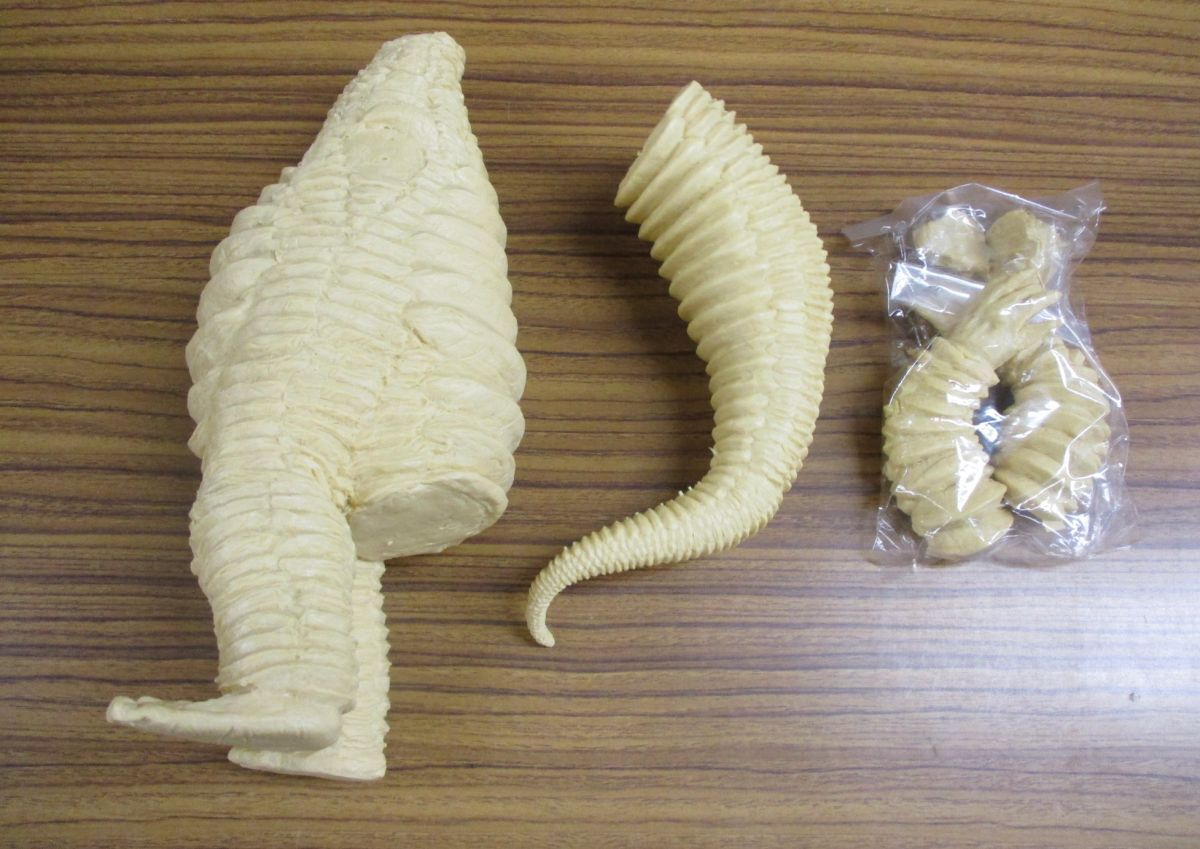 #w17 梱80 怪獣無法地帯 THE MONSTER CLASSICS レッドキング ガレージキット 未組立(ウルトラマン)｜売買されたオークション情報、yahooの商品情報をアーカイブ公開 ...