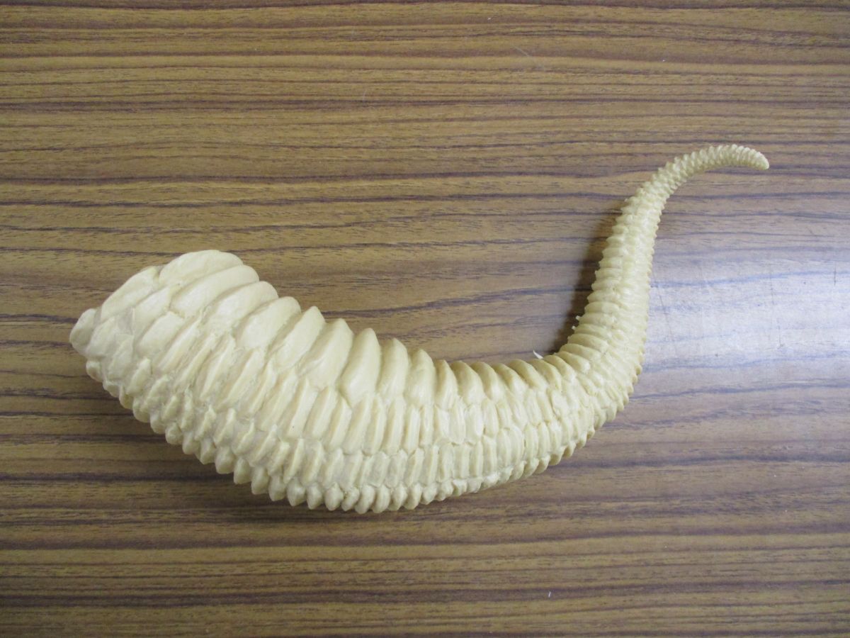 Yahoo!オークション - #w17【梱80】怪獣無法地帯 THE MONSTER CLASSICS...