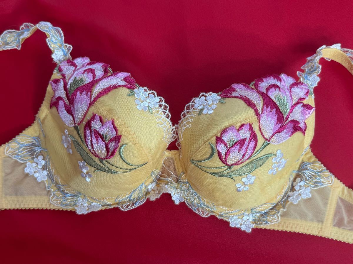 Yahoo!オークション - サルート チューリップ ブラジャー G70 YE 補正 ...