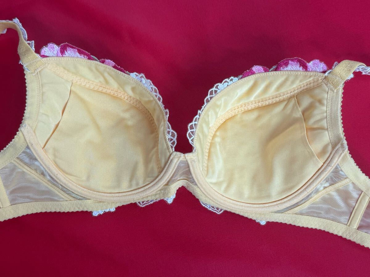 Yahoo!オークション - サルート チューリップ ブラジャー G70 YE 補正 ...