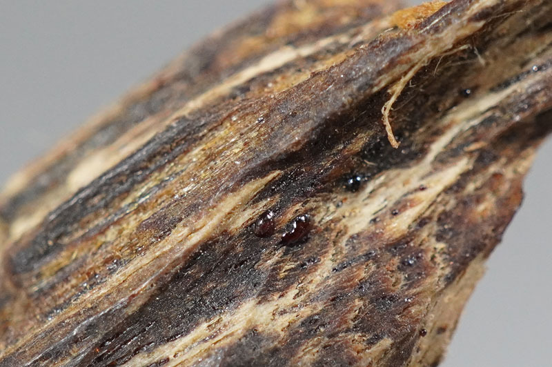 Yahoo!オークション - 1円~【G130】伽羅 沈香 4.49g 香木 香道 香道具