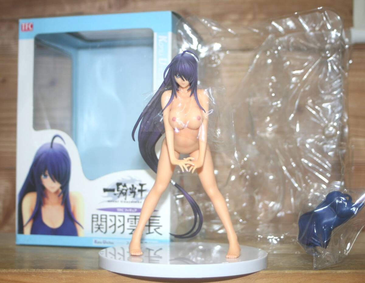 Yahoo!オークション - 訳あり品 関羽雲長 スクール水着Ver. 一騎当千GG...