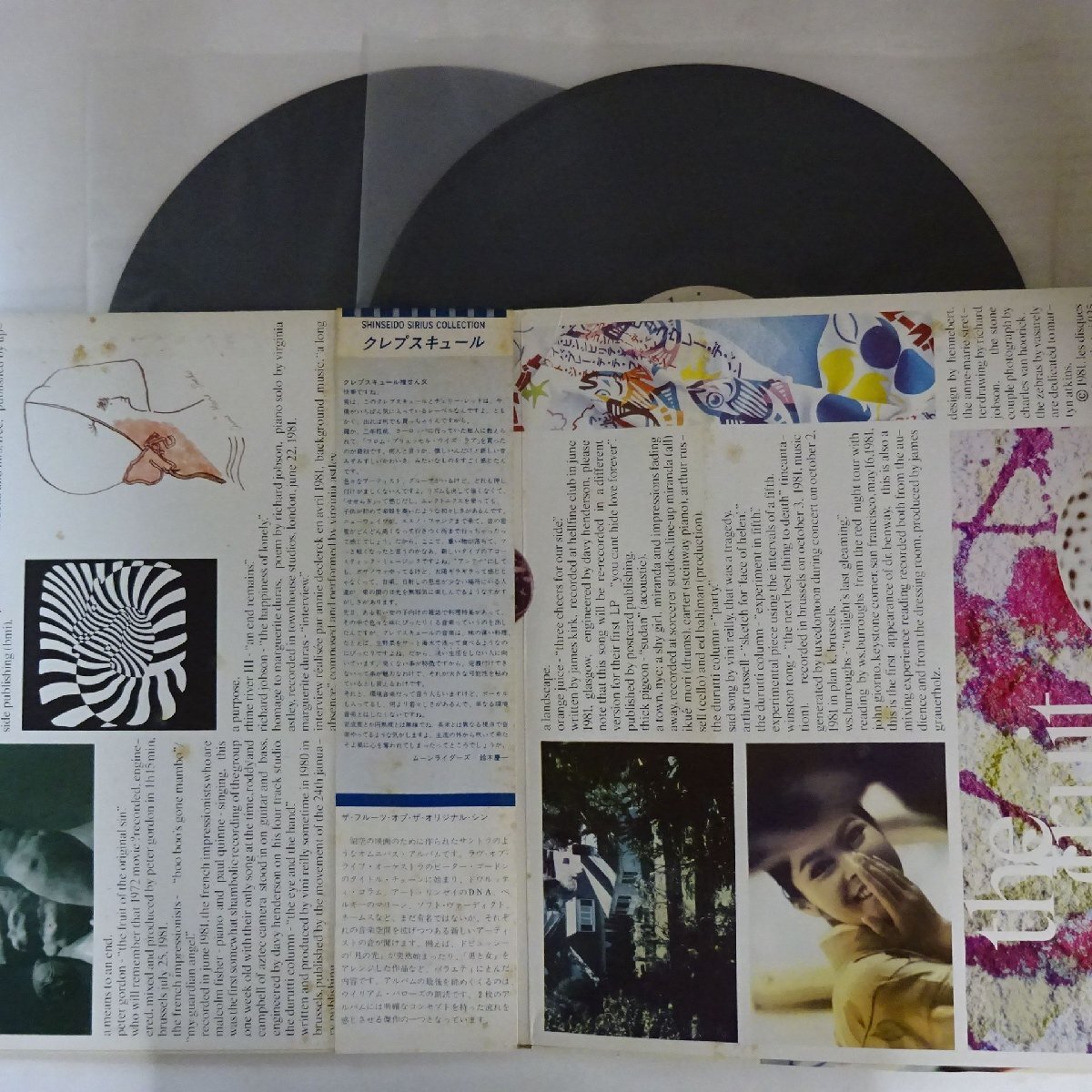 10066430; 帯付/見開き/2LP V.A. The Durutti Column Verginia Astley Arthur Russell etc / The Fruit Of ...