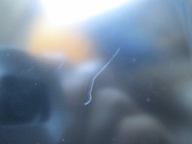 Yahoo!オークション - スカイライン V36 ナビモニター 28091CS70E H24...