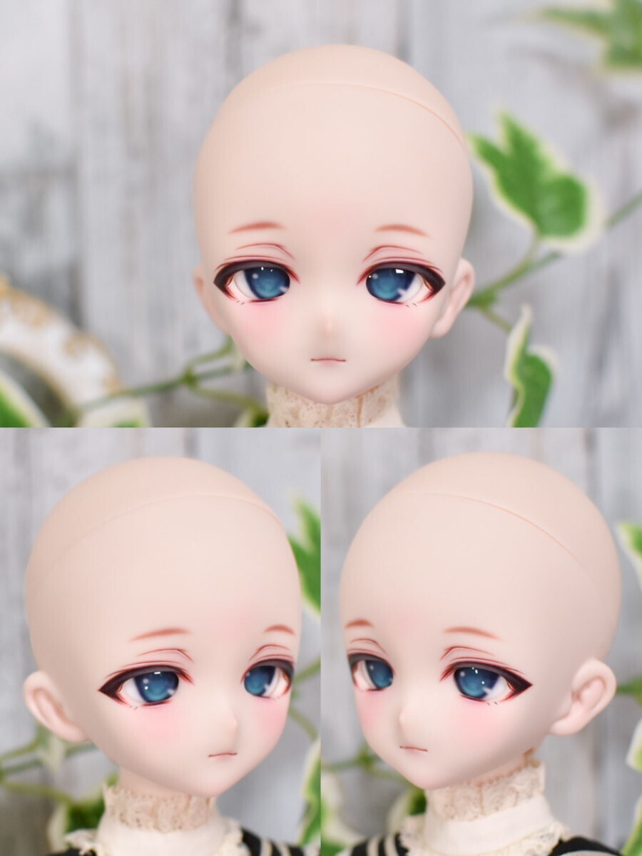 Yahoo!オークション - 【みみずく】DDH-10 カスタムヘッド ソフビ盛り ...