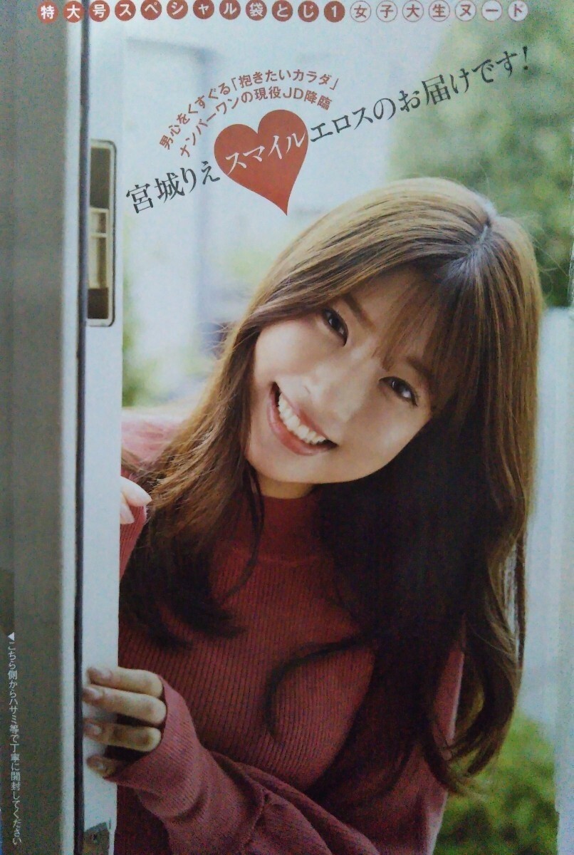 Yahoo!オークション - 宮城りえ 雑誌グラビア袋とじ（未開封）4P