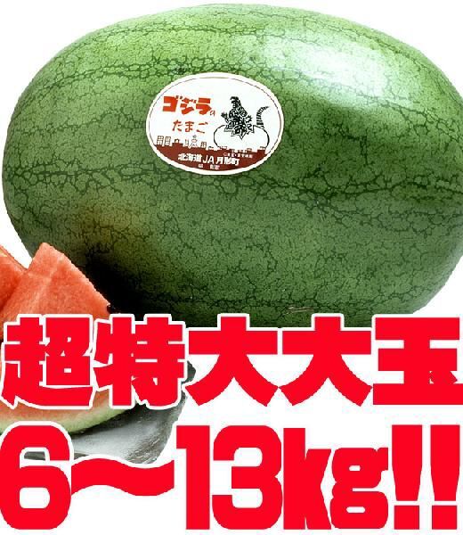 Yahoo!オークション - ゴジラのたまご 秀品 6kg以上×1玉 (月形町特産...