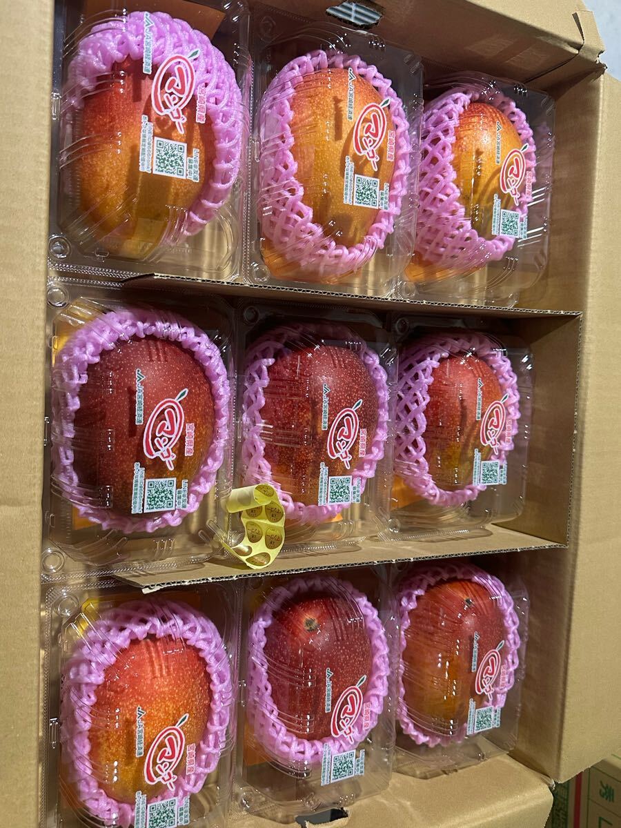 Yahoo!オークション - 宮崎 高級 完熟マンゴー 4L 9パック 約4.5kg ア...