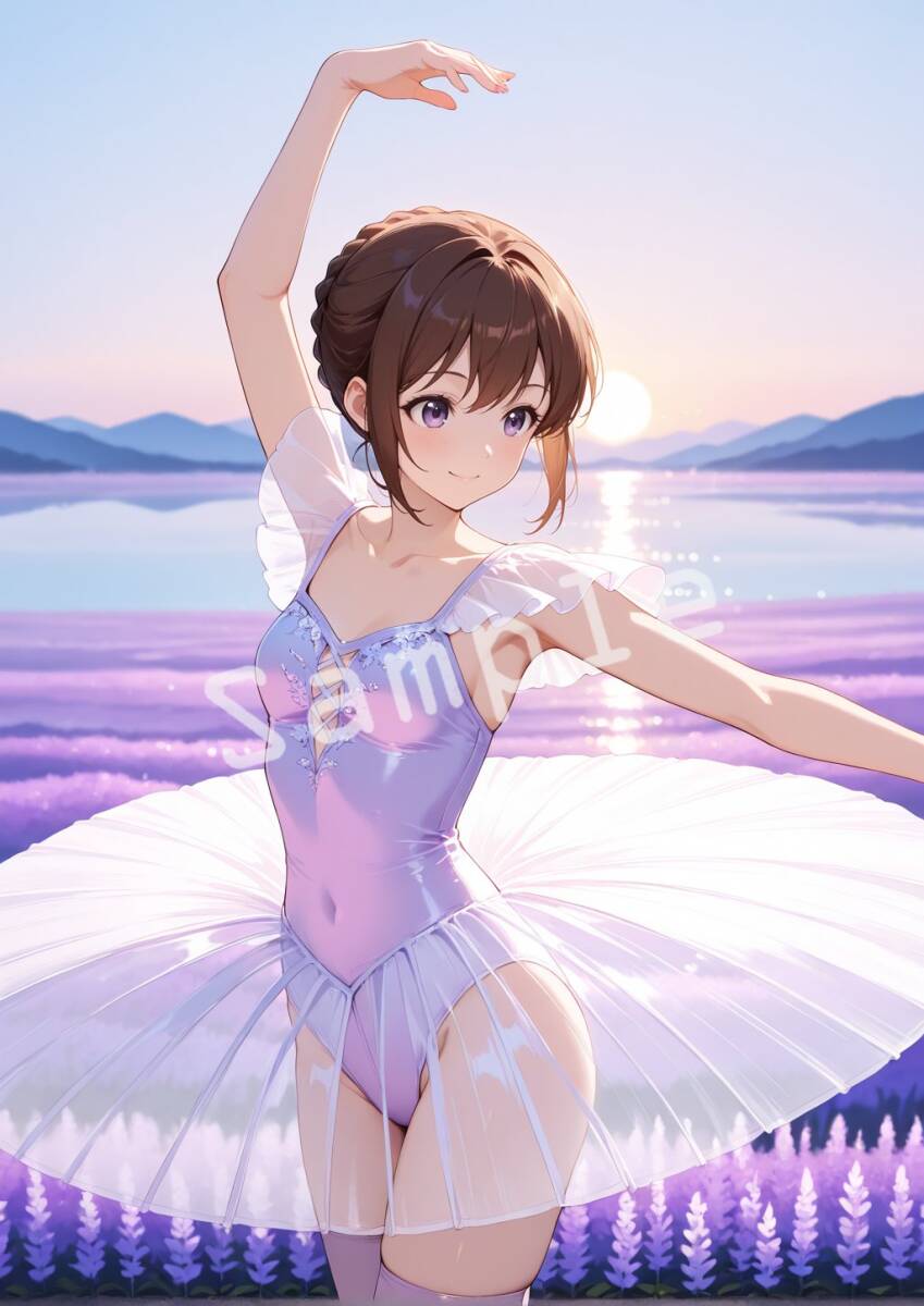 Yahoo!オークション - オリジナル バレリーナ バレエ フェチ A4ポスタ...