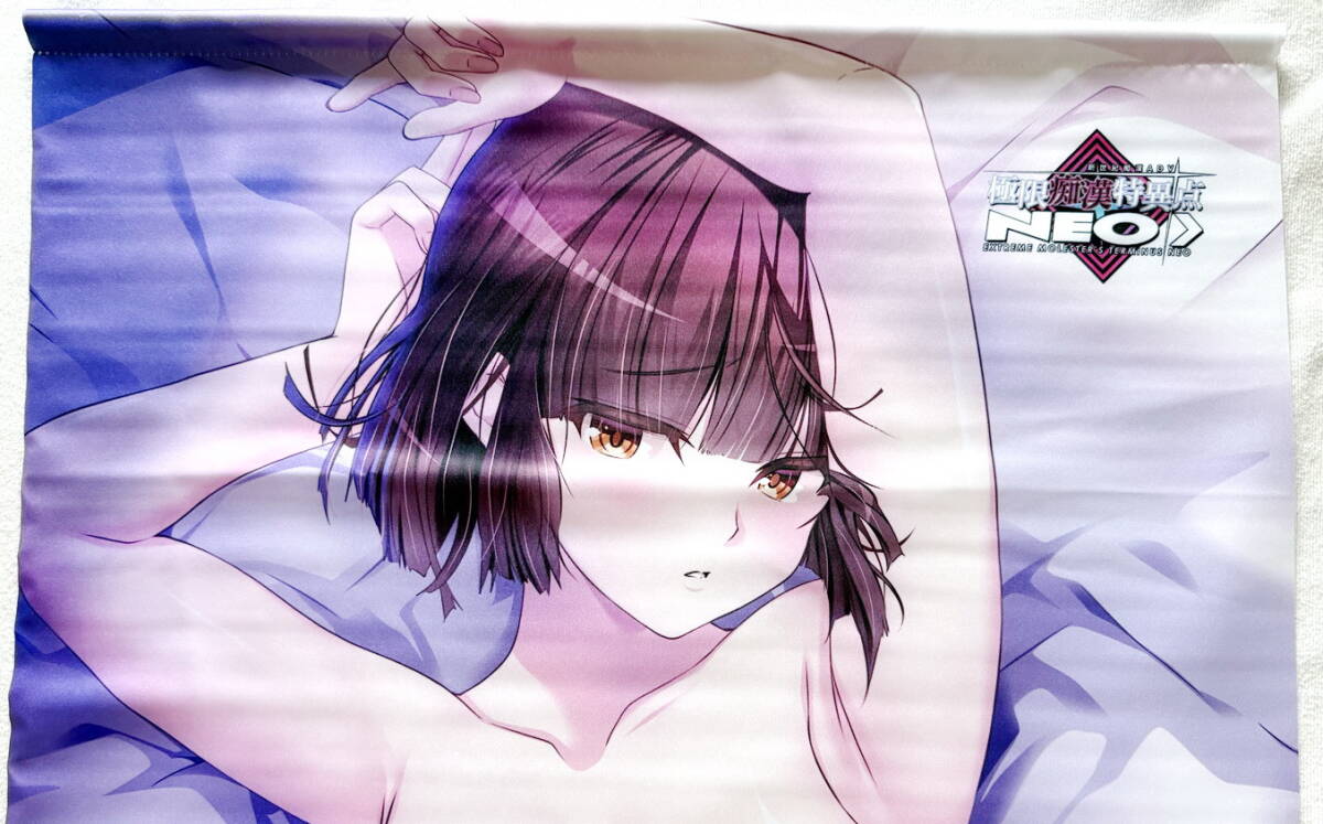 Yahoo!オークション - B2タペストリー ソフマップ特典 極限痴漢特異点N...