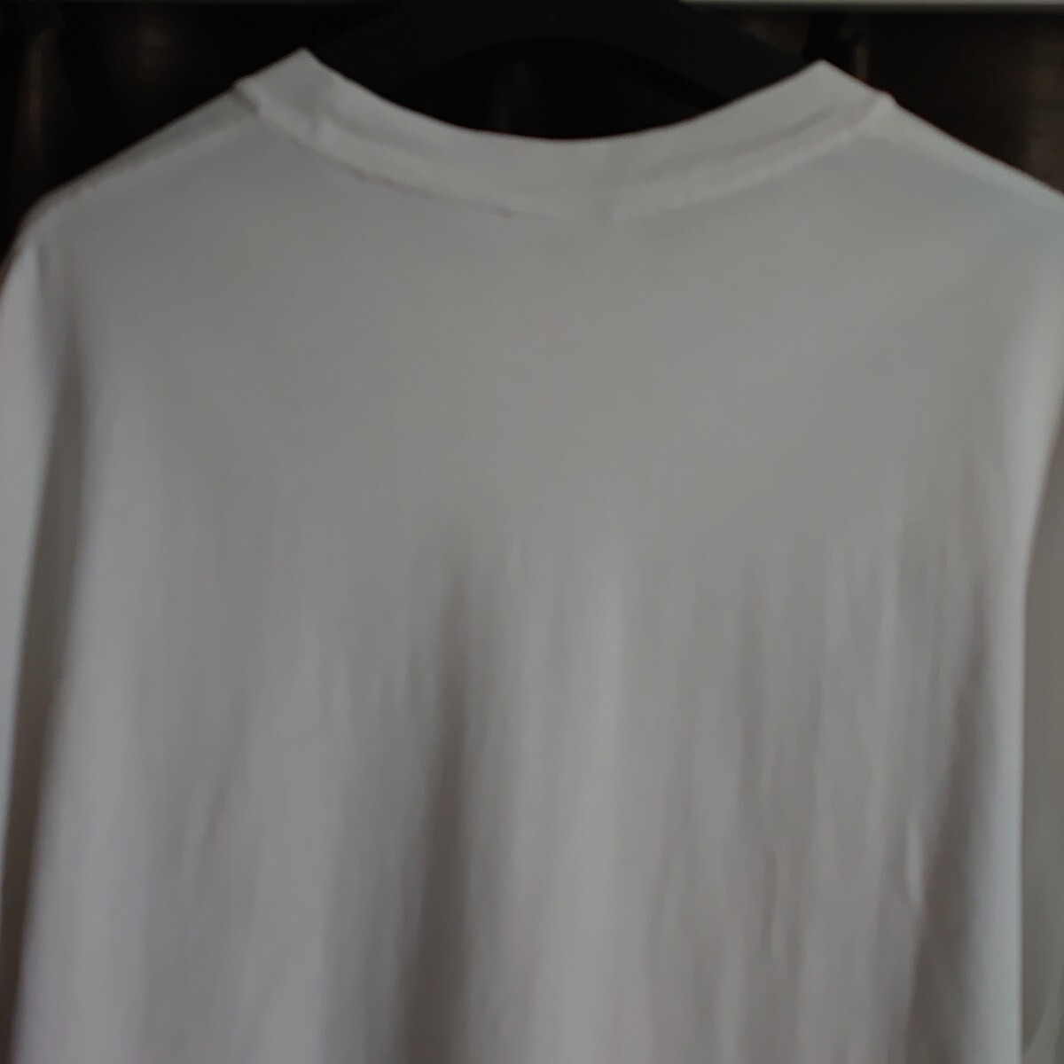 Yahoo!オークション - NIKE ACG Tシャツ 半袖 白 ホワイト ワンポイン...