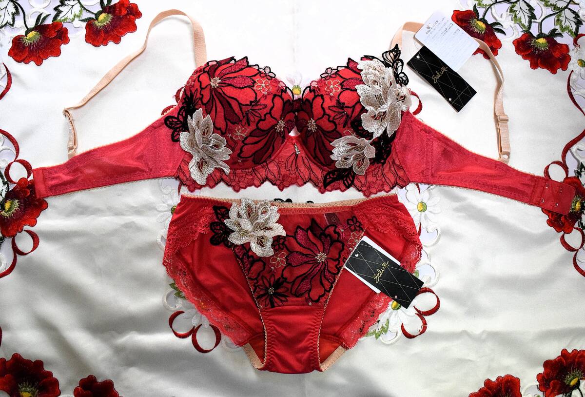 Yahoo!オークション - 新品・タグ付き ワコール サルート 96G・プラ...