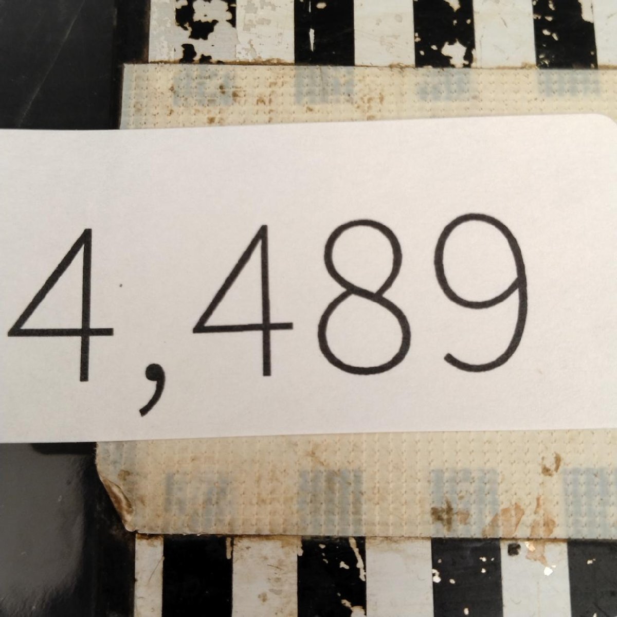 Yahoo!オークション - 4489 「塊根植物」オペルクリカリア デカリー 朝...