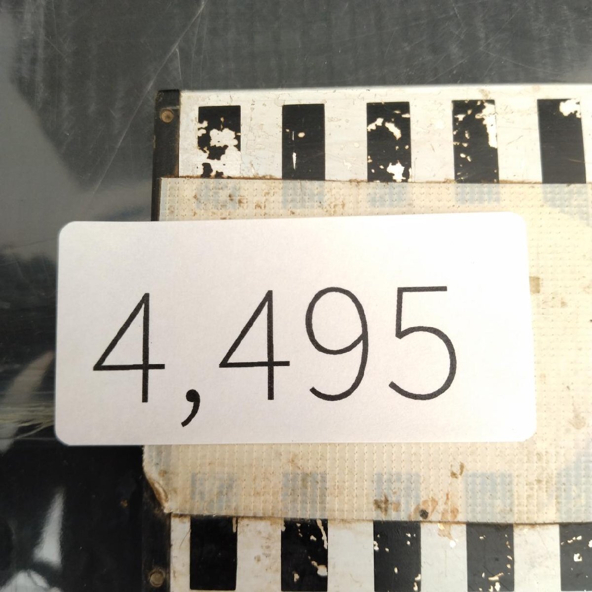 Yahoo!オークション - 4495 「塊根植物」オペルクリカリア デカリー 朝...