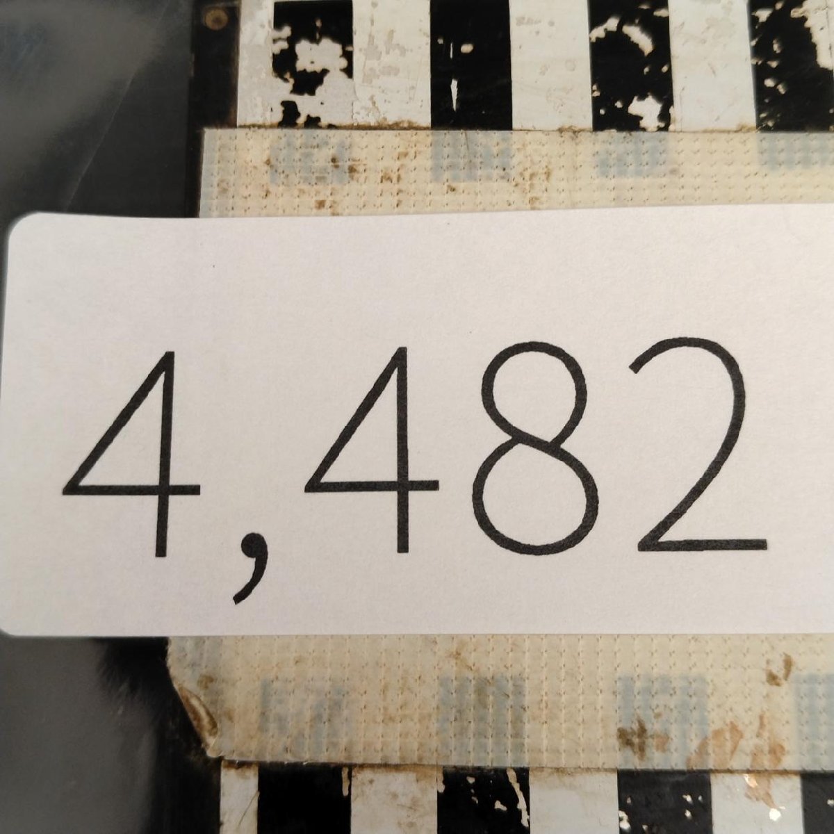 Yahoo!オークション - 4482 「塊根植物」オペルクリカリア デカリー 朝...