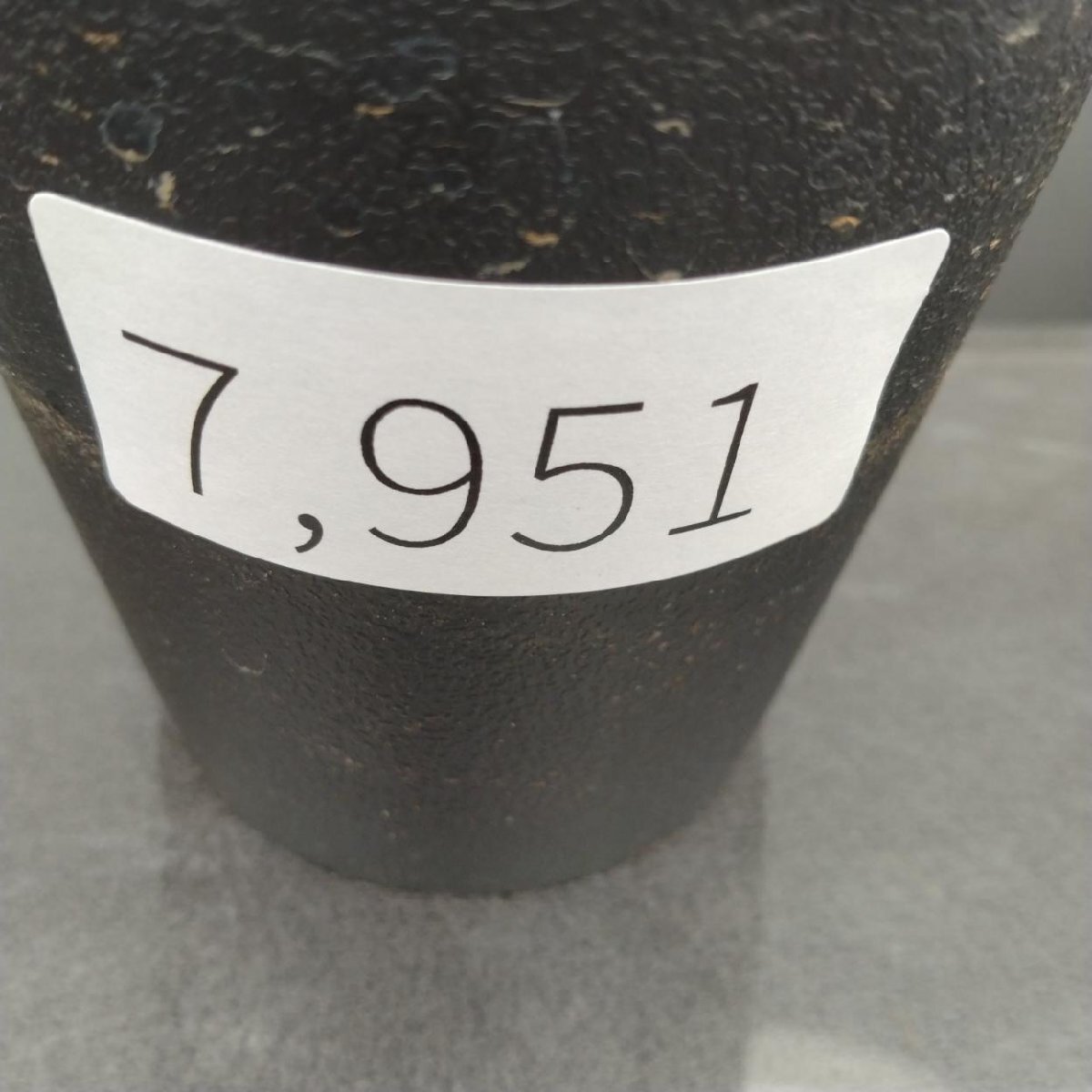 Yahoo!オークション - 7951 「多肉植物J」アガベ ササノユキ 植え【発...