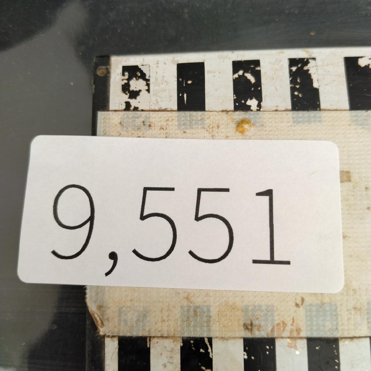 Yahoo!オークション - 9551 「塊根植物」キフォステンマ マクロプス 抜...