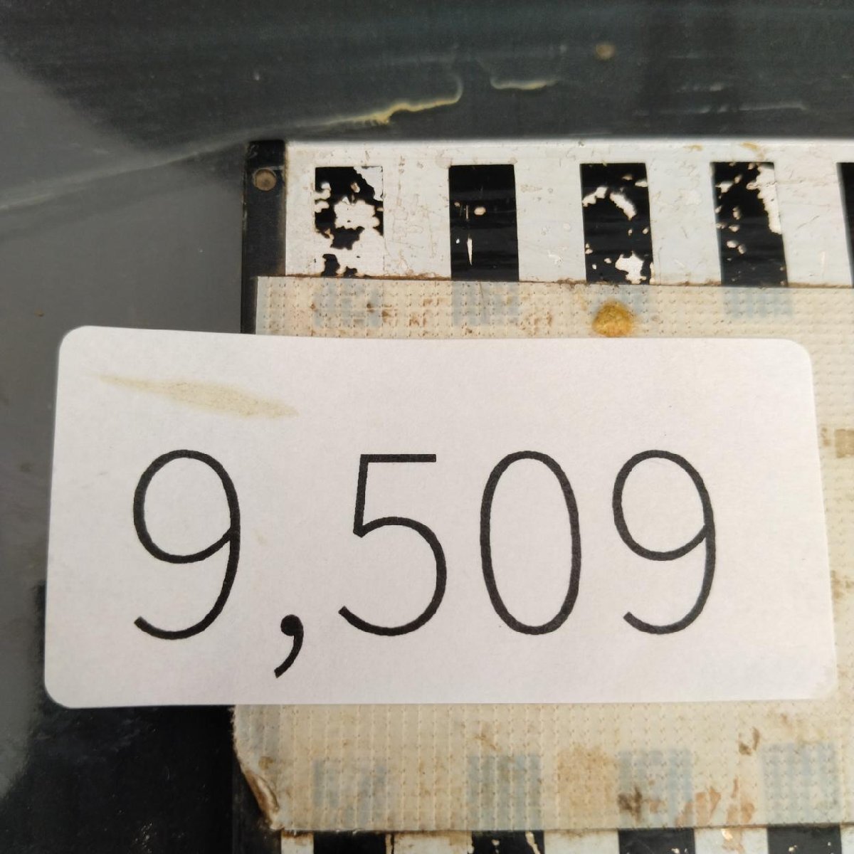 Yahoo!オークション - 9509 「塊根植物」パキポディウム グラキリス M ...