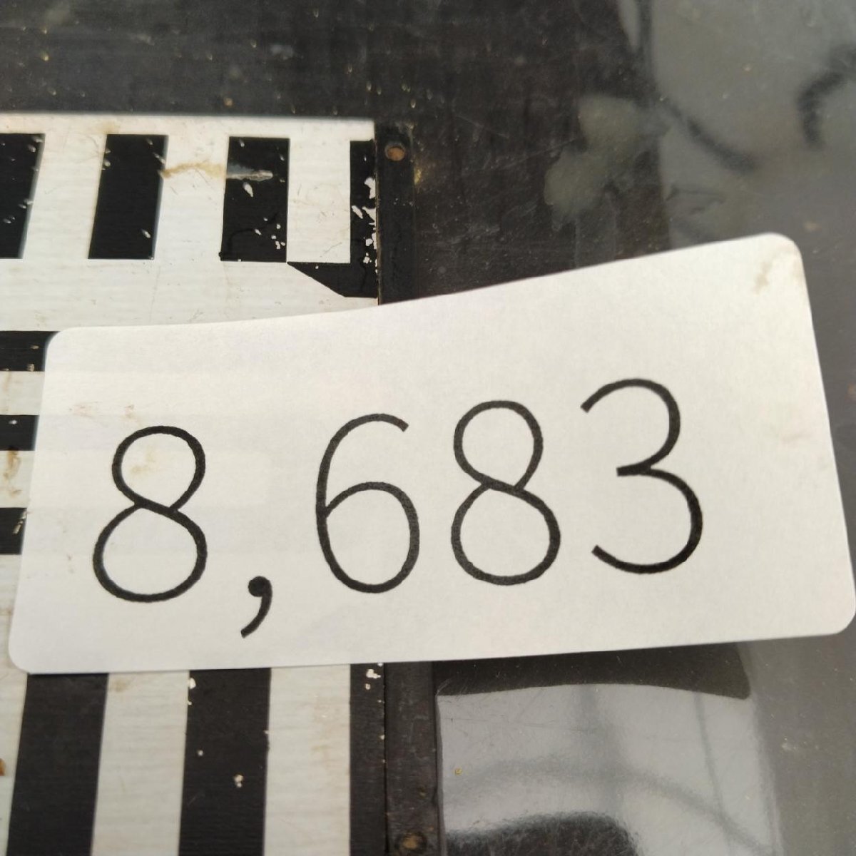 Yahoo!オークション - 8683 「塊根植物」パキポディウム グラキリスM ...