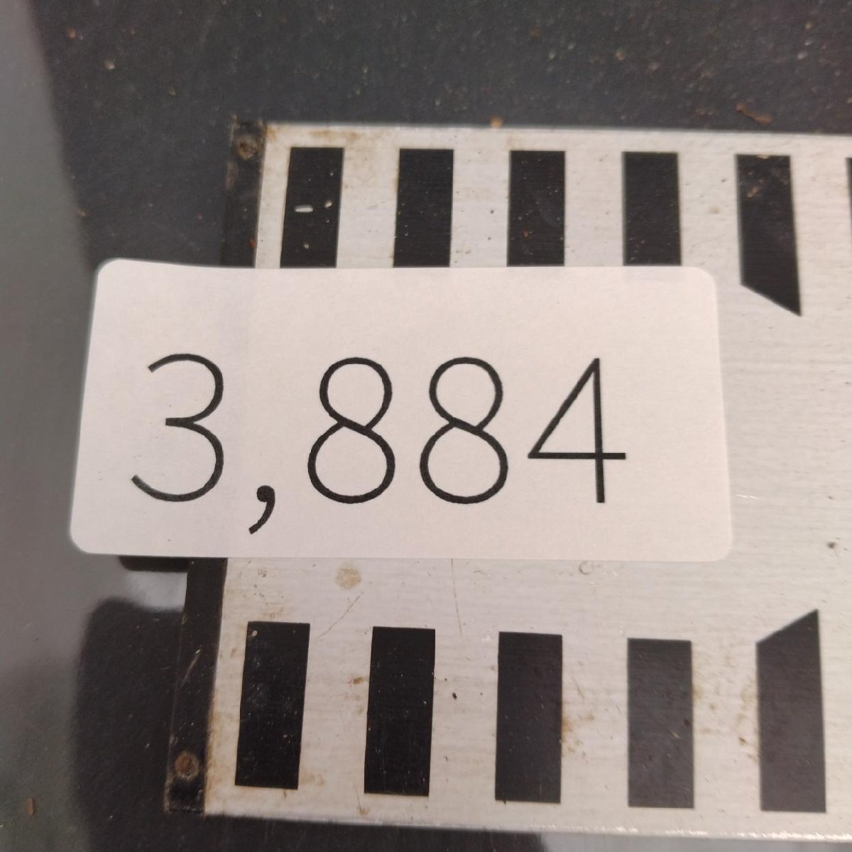 Yahoo!オークション - 3884 「塊根植物」キフォステンマ モンタグナッ...