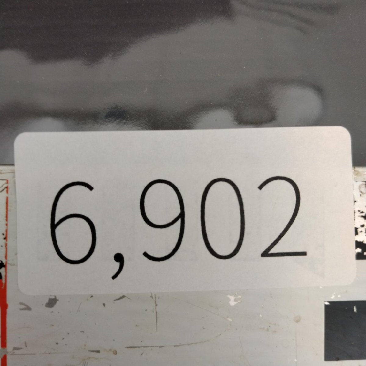 Yahoo!オークション - 6902 「実生株」オペルクリカリア ヒファエノイ...