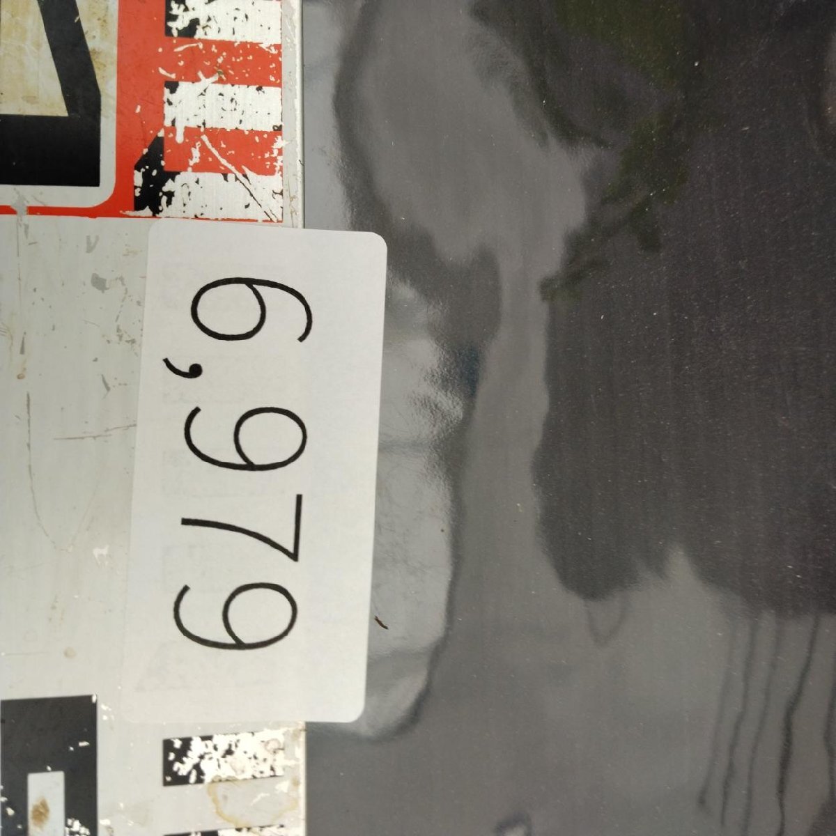 Yahoo!オークション - 6979 「実生」フォークイエリア ファシクラータ...