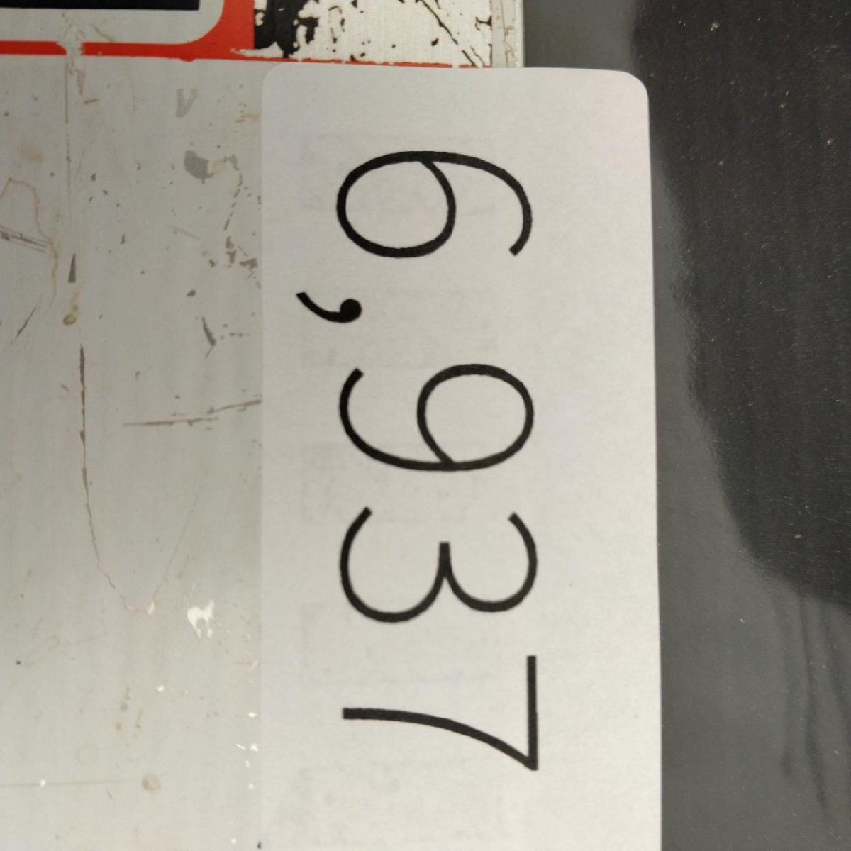 Yahoo!オークション - 6937 「実生株」オペルクリカリア パキプス 植え...