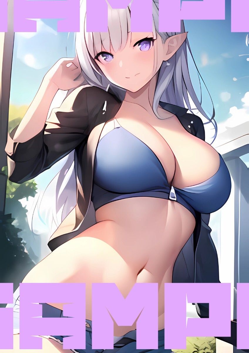 Yahoo!オークション - A4 ポスター 美少女 リゼロ エミリア ファンアー...