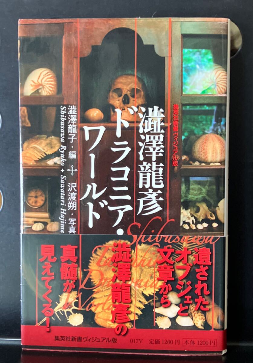 Yahoo!オークション - 澁澤龍彦ドラコニア・ワールド （集英社新書 ヴ...