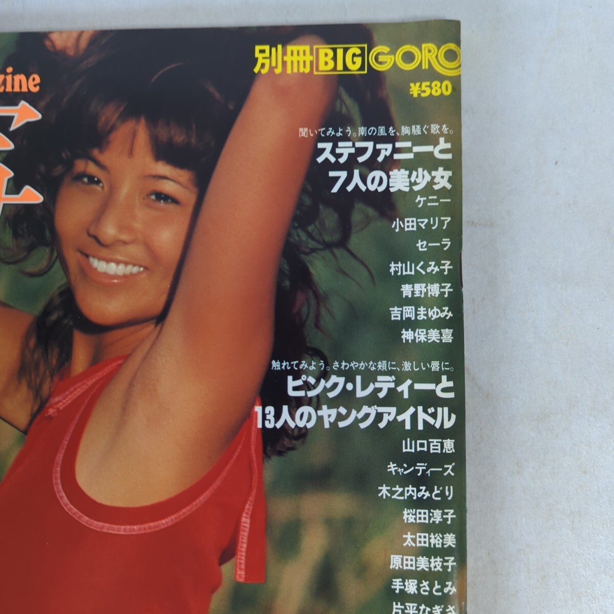 Yahoo!オークション - 激写 別冊BIG GORO 篠山紀信全撮影 山口百恵