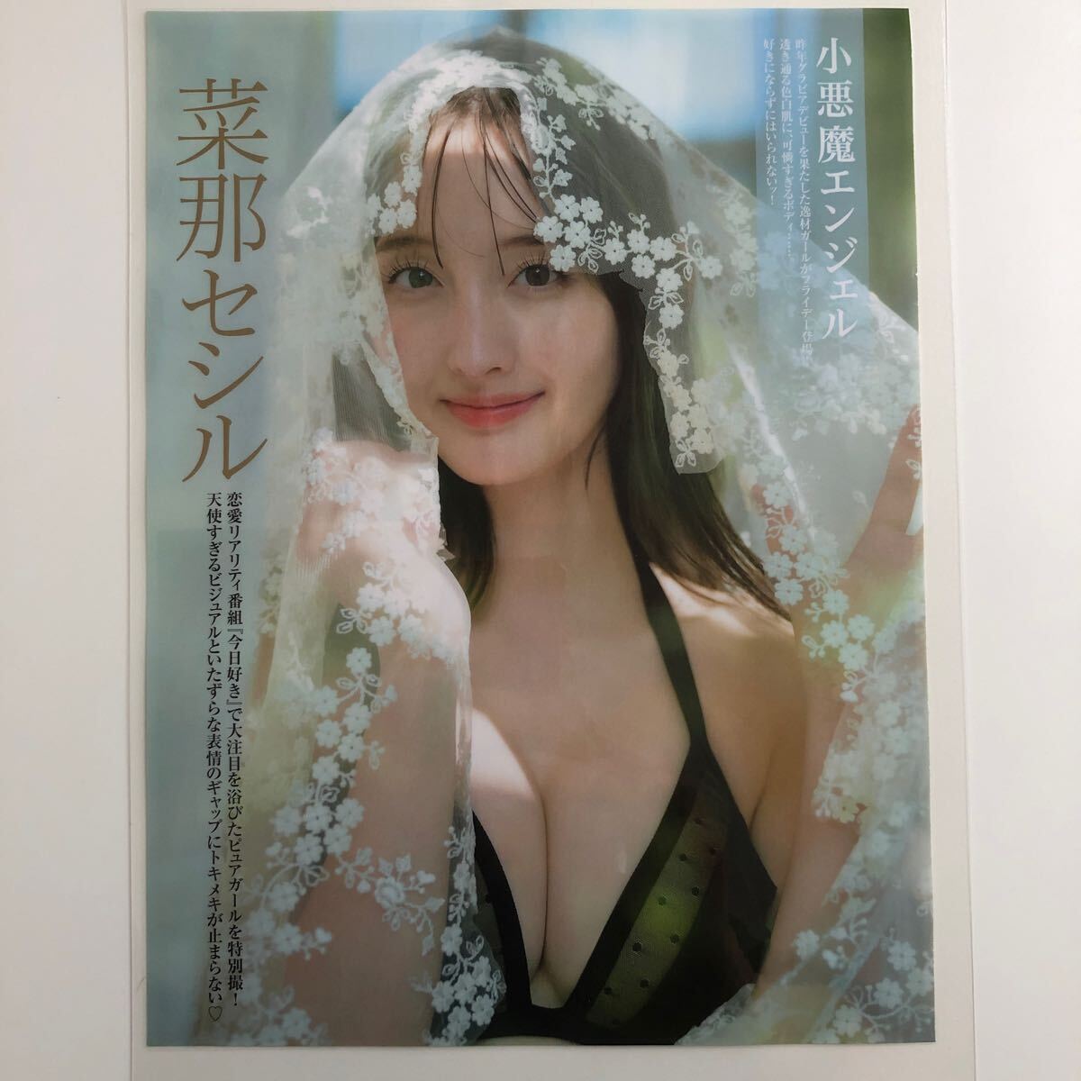 Yahoo!オークション - 菜那セシル FRIDAY2025.1.24 A4変 3p 厚ラミネー...