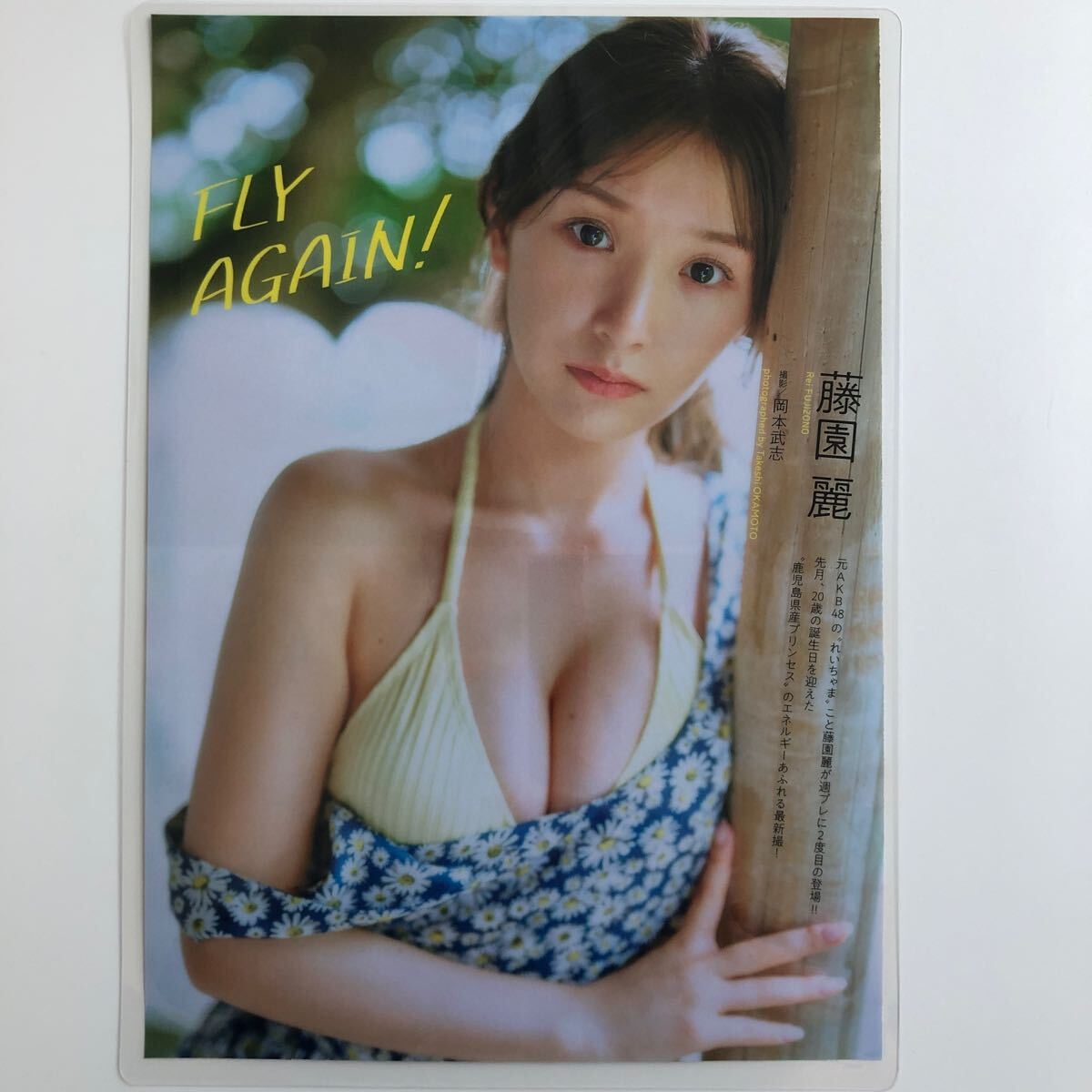 Yahoo!オークション - 藤園麗 週プレ2025.2.24 B5 6p ラミネート加工