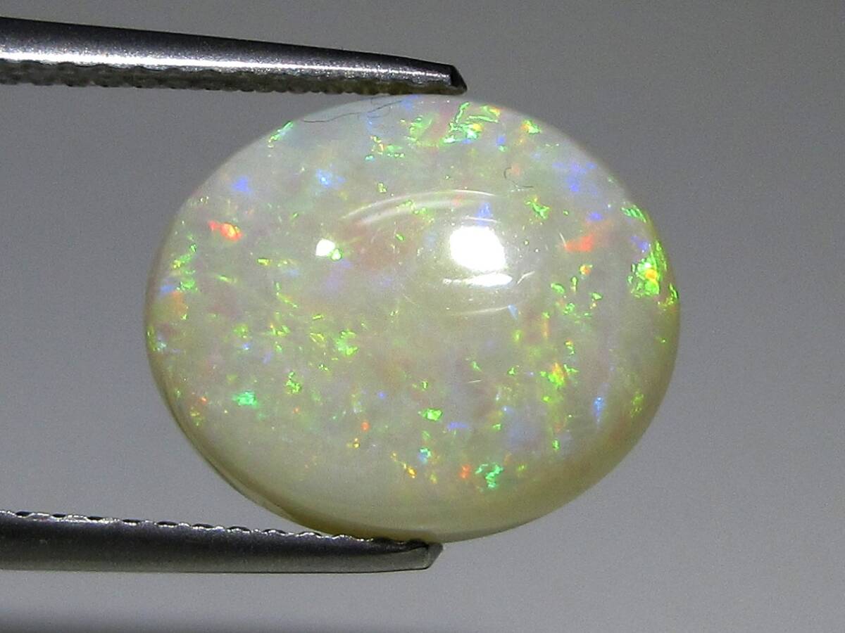 Yahoo!オークション - ルース オパール 3.34ct 13.1 11.1 シロクマさん...