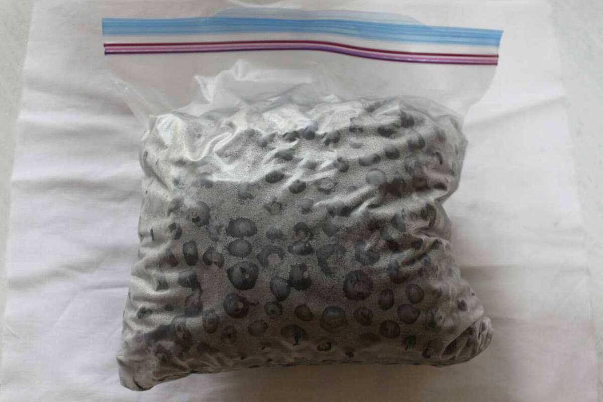 Yahoo!オークション - 冷凍ブルーベリー 4kg（2kg×2袋）
