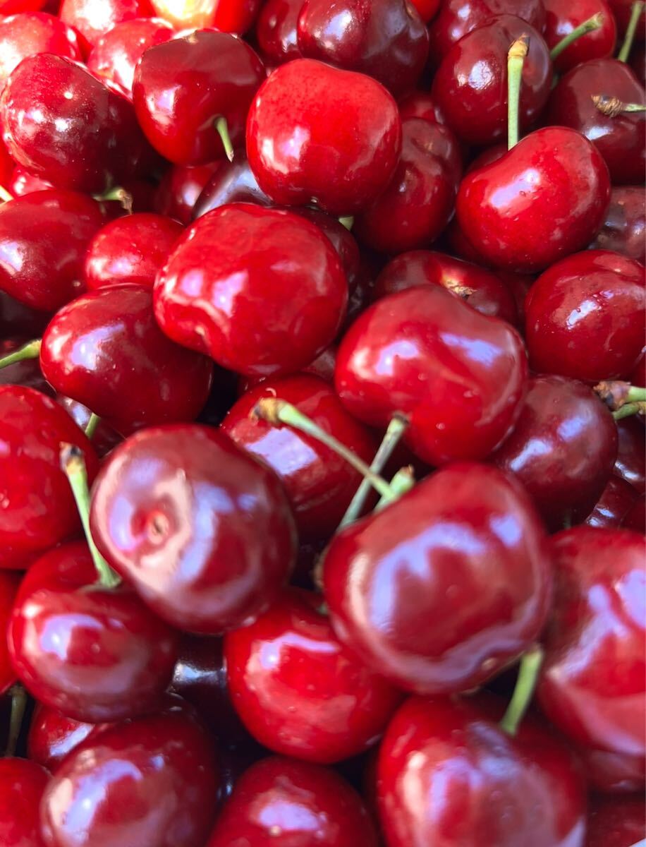 Yahoo!オークション - クール便 11.5rアメリカンチェリー1kg 父の日 中...