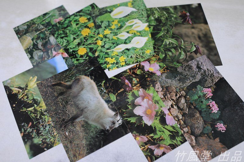 Yahoo!オークション - 2-7818【絵葉書】高山植物 8枚袋